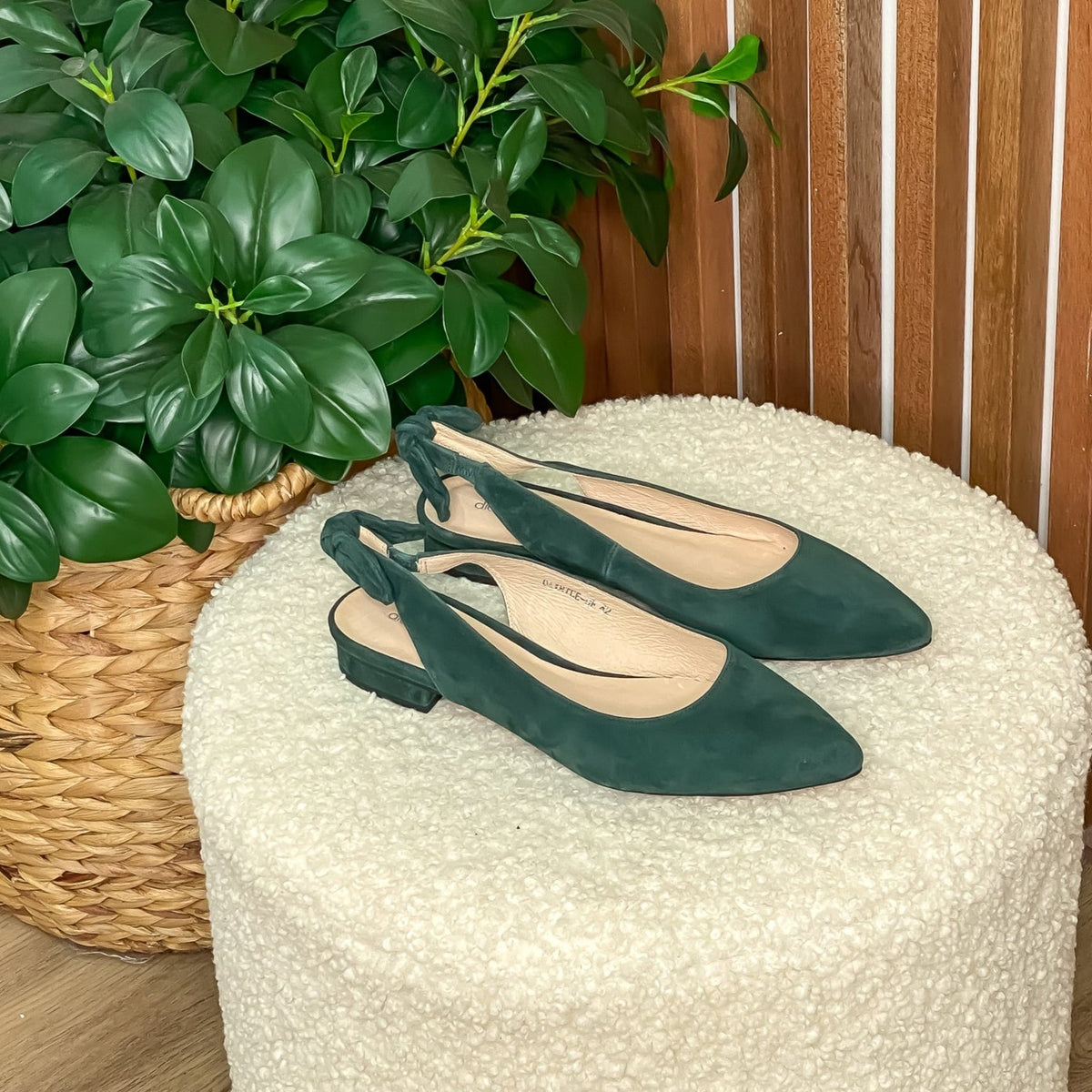 Daintee – Saige & Sohl